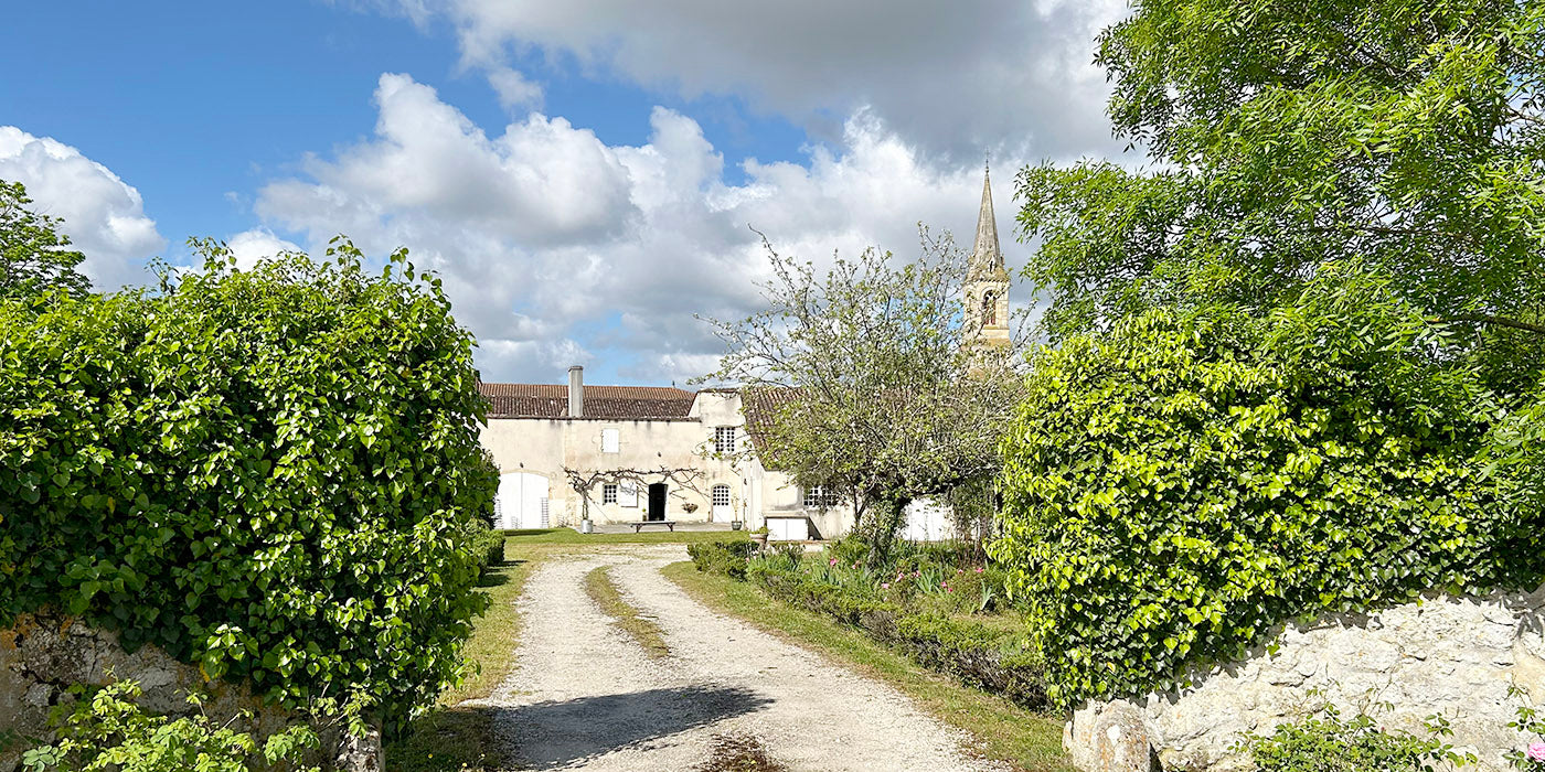 Buy Château Cissac Online | Tanners Wines Ltd