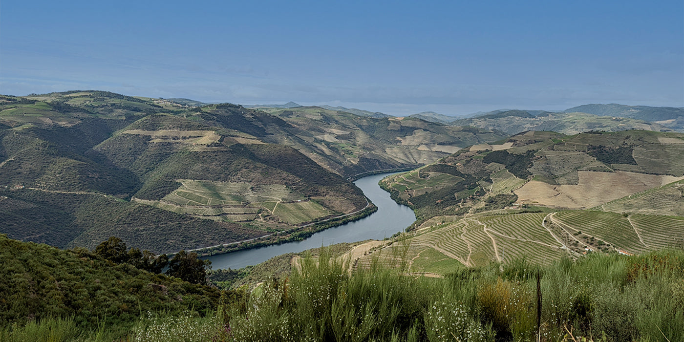Buy Douro Online | Tanners Wines Ltd