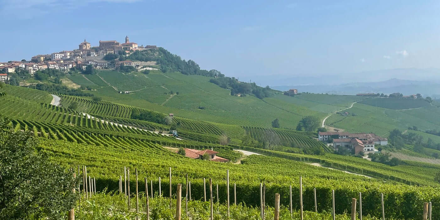 Buy Italy Online | Tanners Wines Ltd