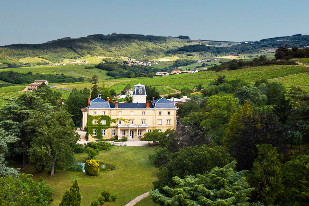 Buy Jean Loron Online | Tanners Wines Ltd