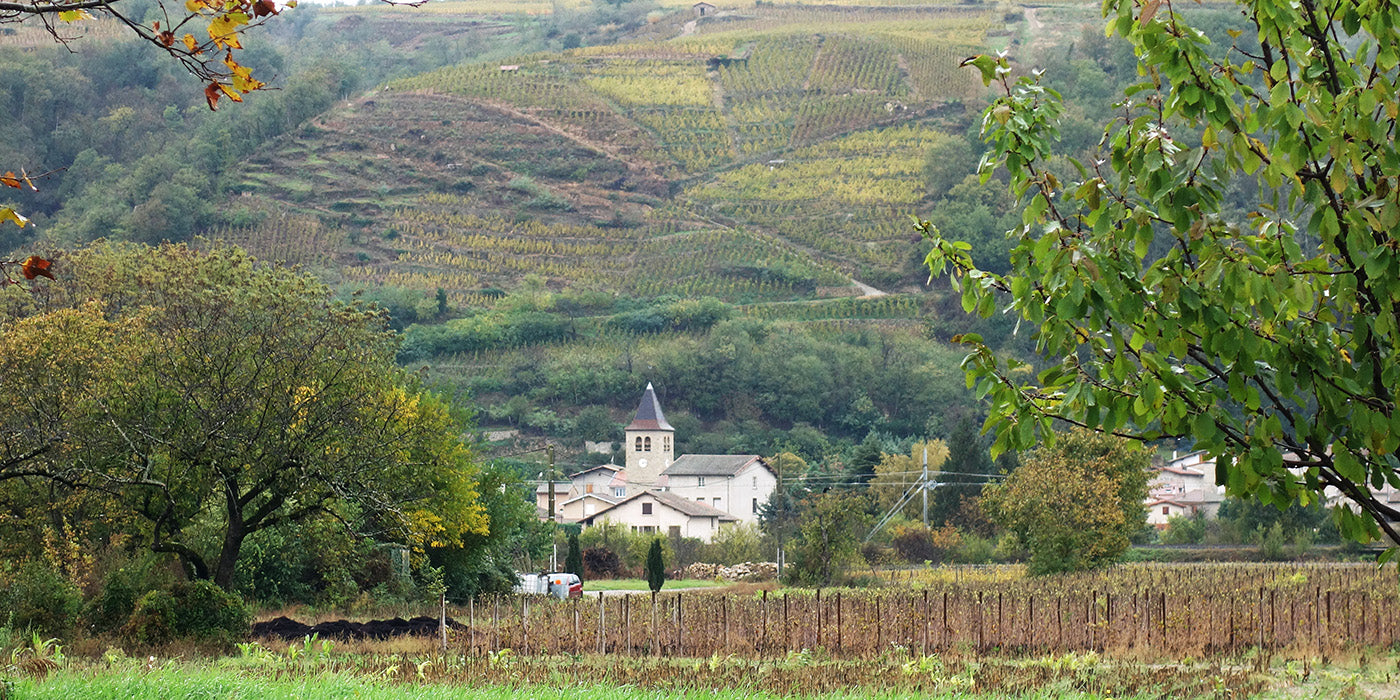 Buy André Perret Online | Tanners Wines Ltd