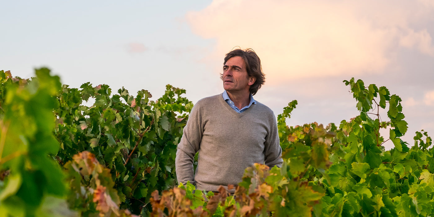 Buy Telmo Rodríguez Online | Tanners Wines Ltd