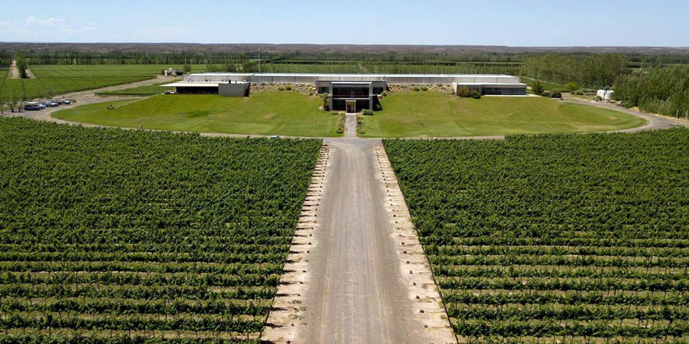 Buy Bodega Malma Online | Tanners Wines Ltd