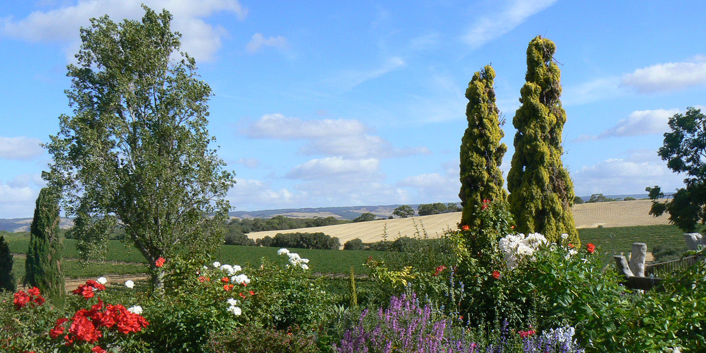 Buy Coriole Vineyards Online | Tanners Wines Ltd