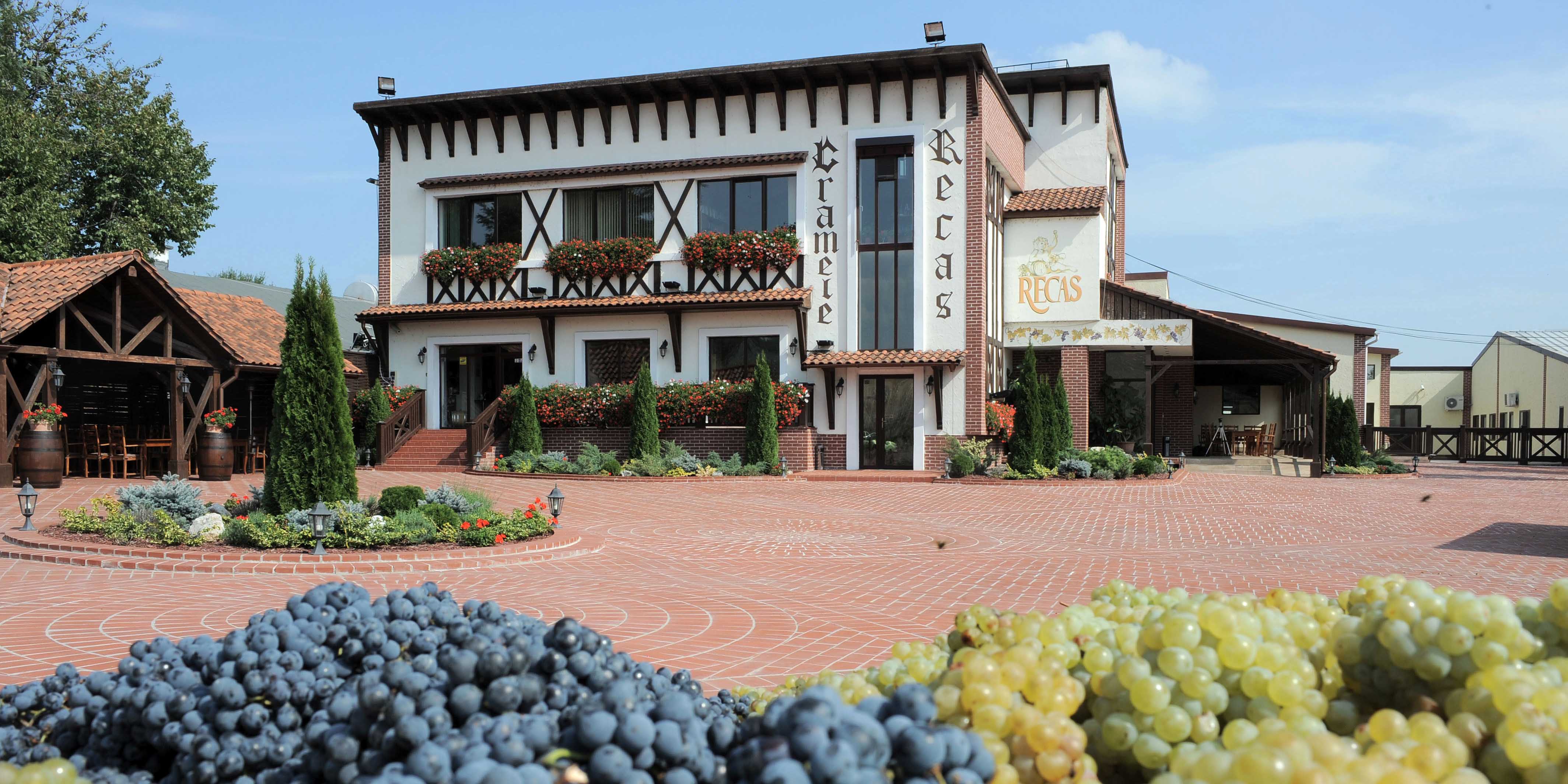 Buy Cramele Recaş Online | Tanners Wines Ltd