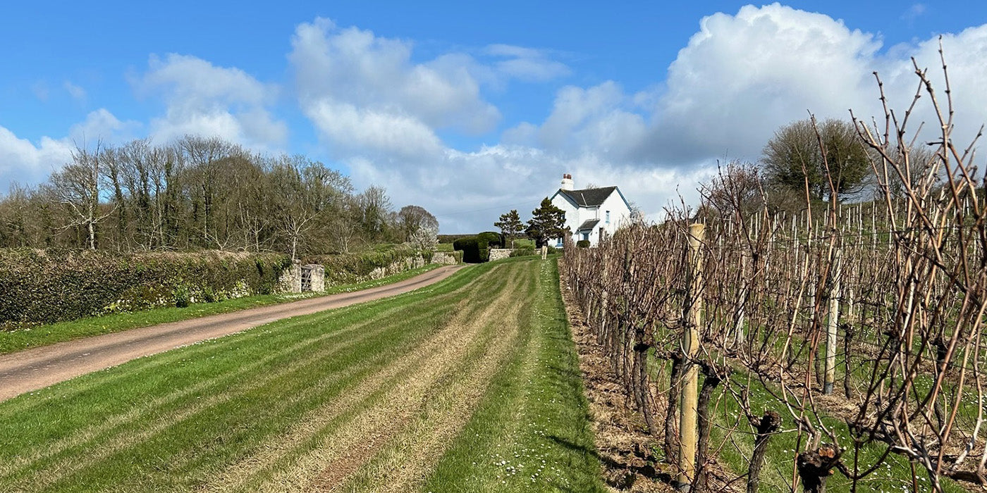 Buy Sharpham Online | Tanners Wines Ltd