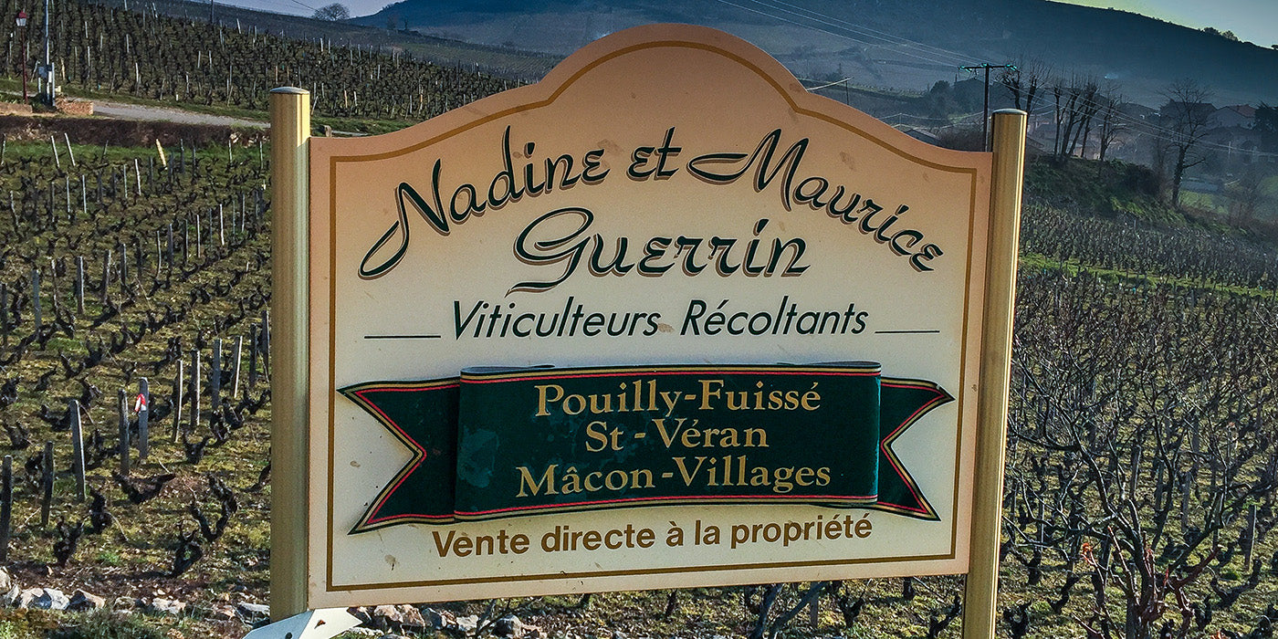 Buy Domaine Guerrin et Fils Online | Tanners Wines Ltd