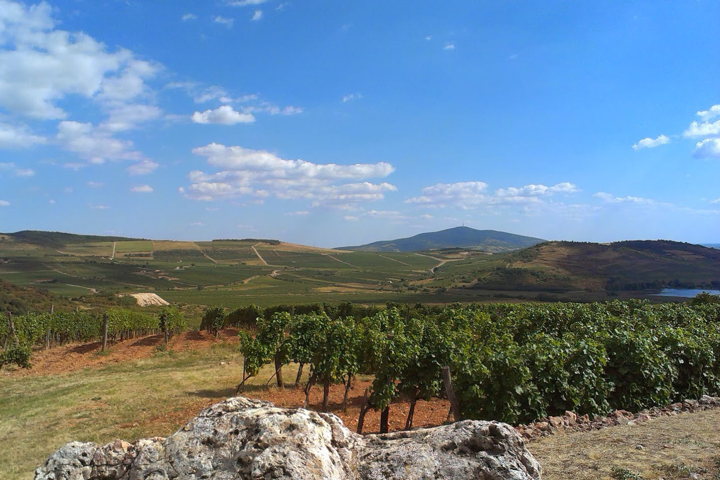 Buy Tokaji Classic Winery Online | Tanners Wines Ltd