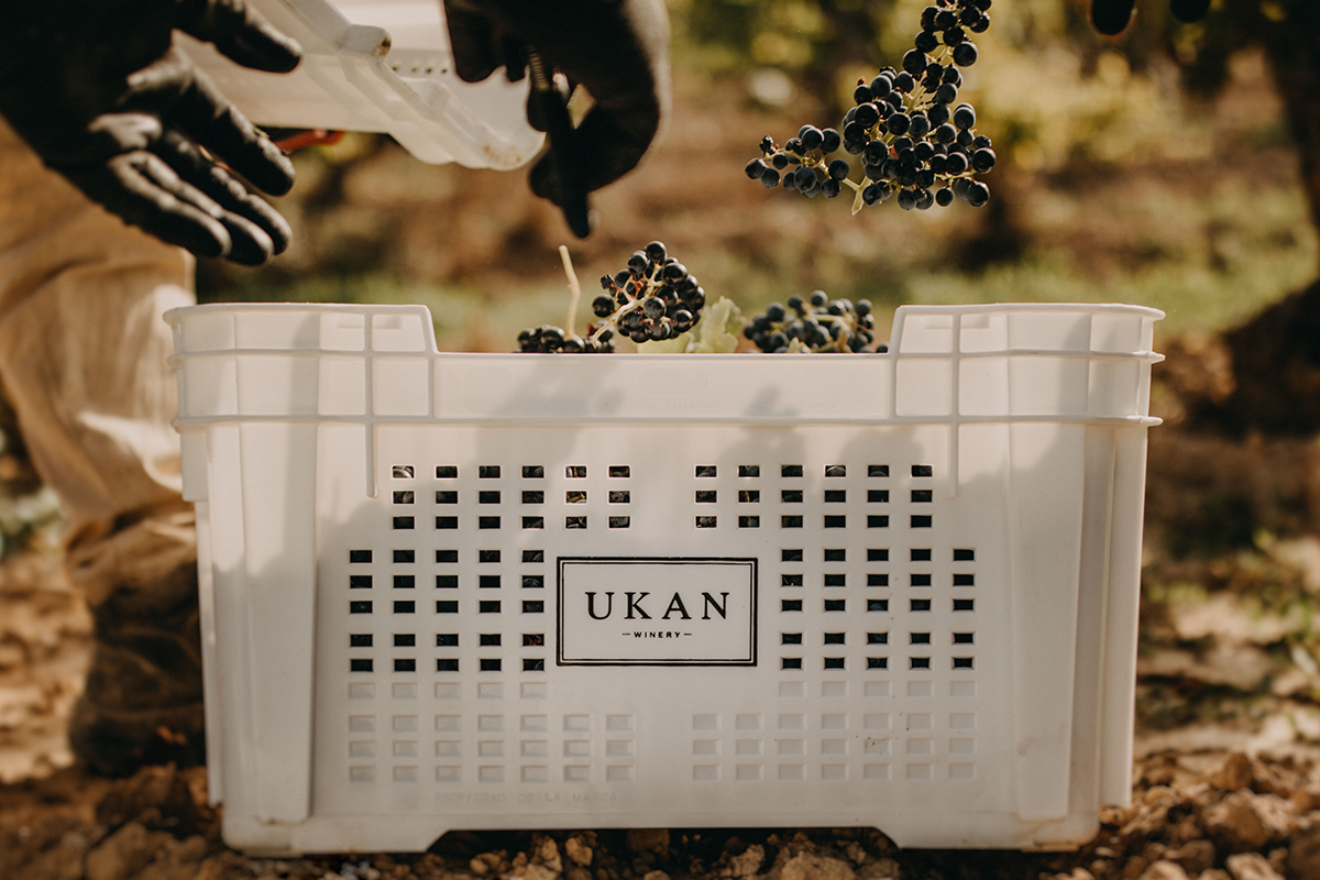Buy Ukan Online | Tanners Wines Ltd