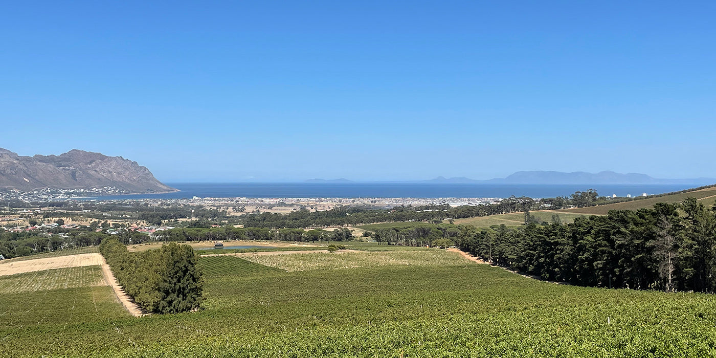 Buy Journey's End Online | Tanners Wines Ltd