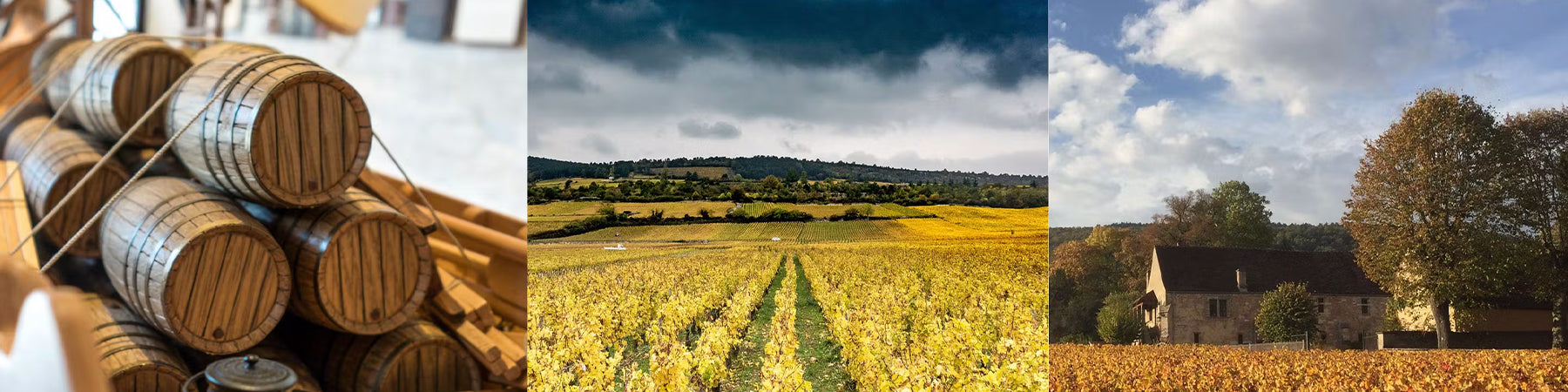 What is En Primeur | Tanners Wines Ltd